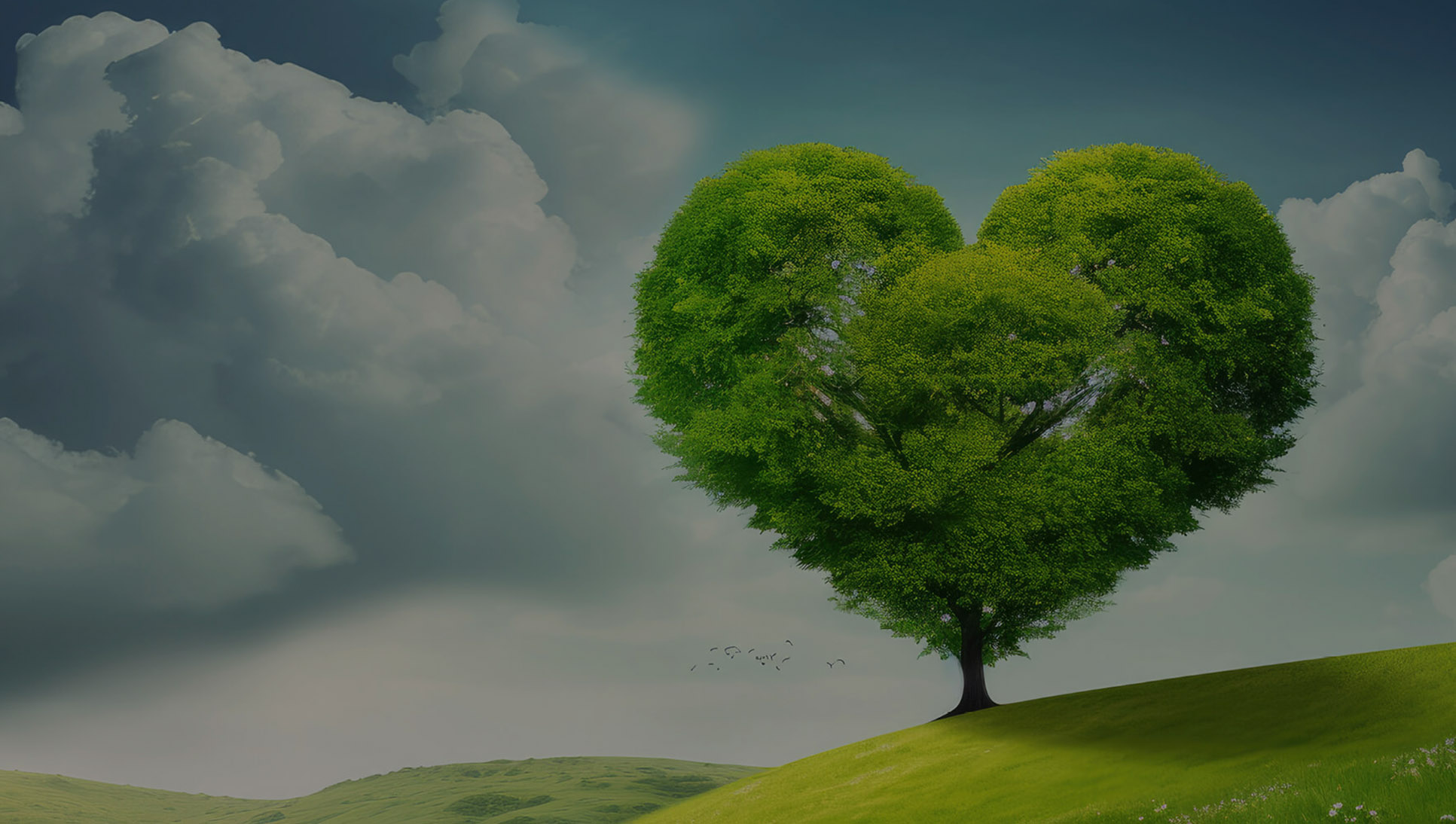 evodis – | quality & sustainability